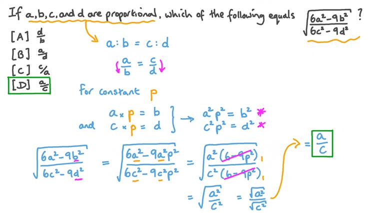 Lesson: Proportions | Nagwa