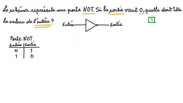 Leçon : Portes NON | Nagwa