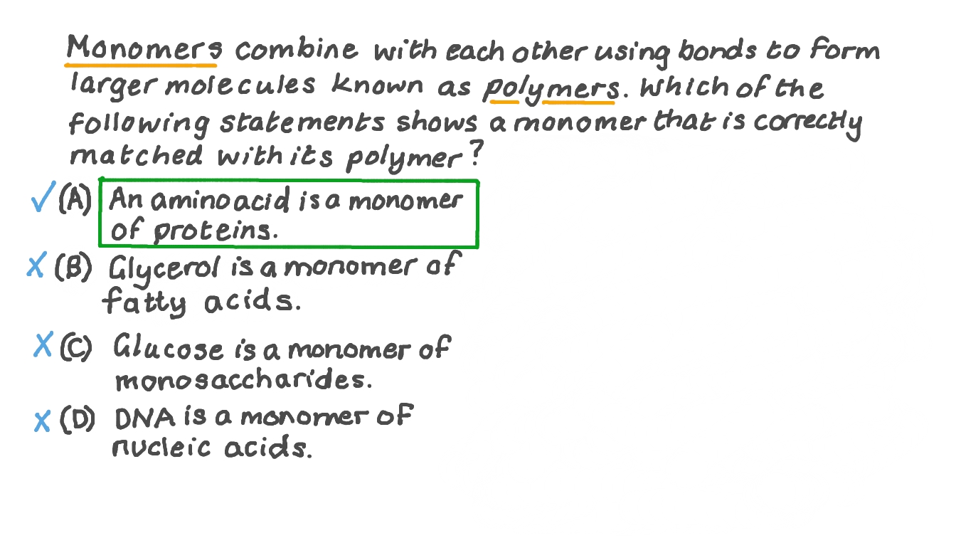 Question Video Identifying The Correct Monomer That Makes Up A Polymer