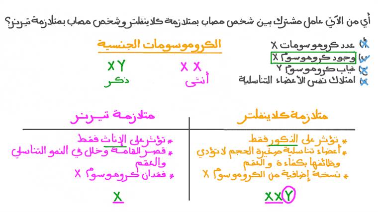 الفيديوهات