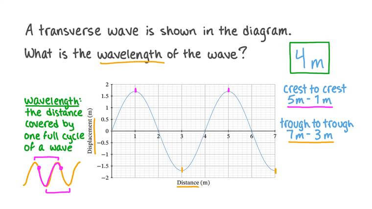 Word Triangle For Transverse Wave Examples Of Transverse Waves
