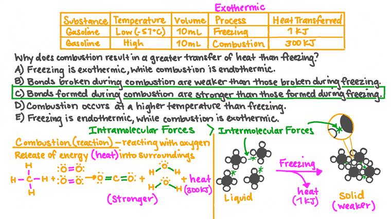 Lesson Playlist | Nagwa