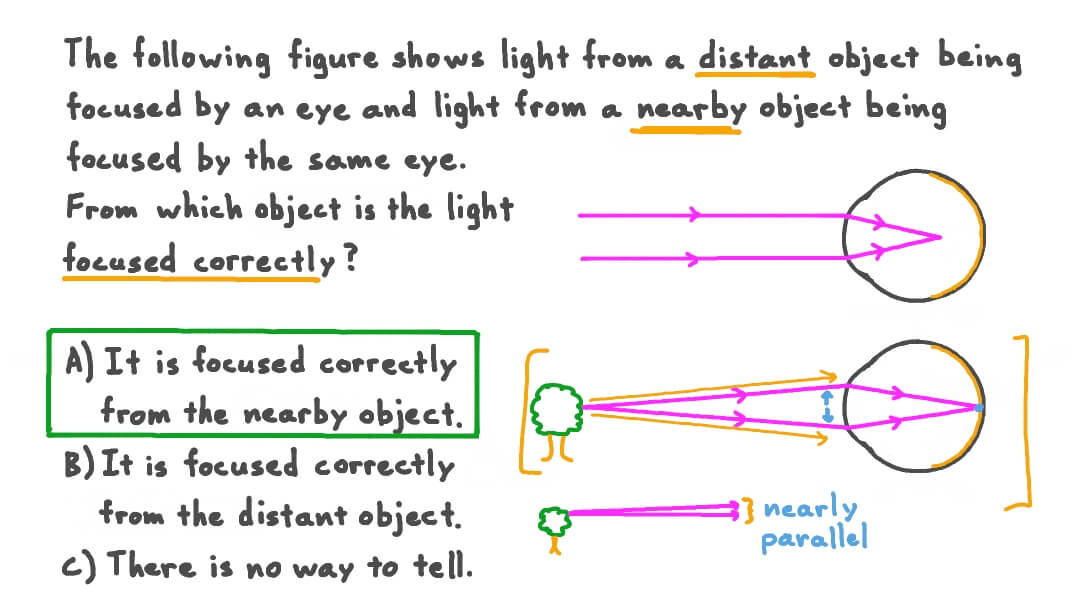 Question Video: Identifying Correctly Focused Light Rays from a Nearby ...