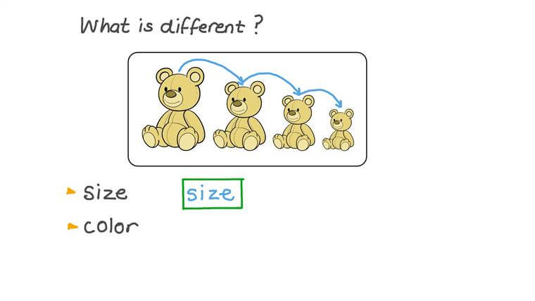 Lesson Playlist | Nagwa