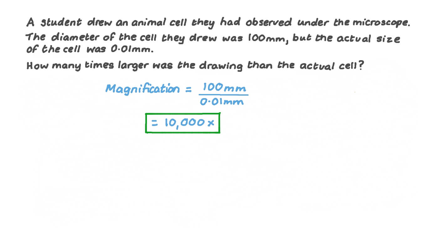 ion Video Calculating The Size Of The Image From The 
