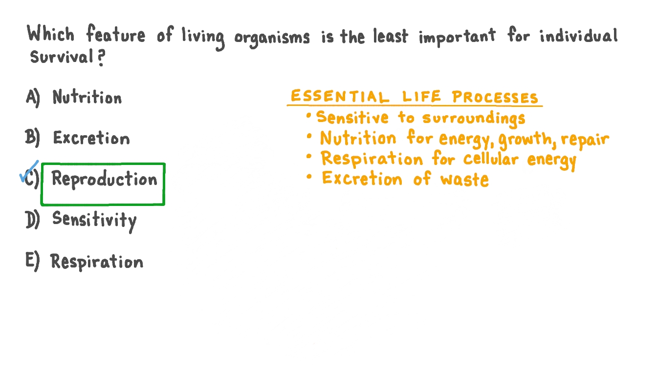 Question Video: Identifying the Least Essential Life Process for ...