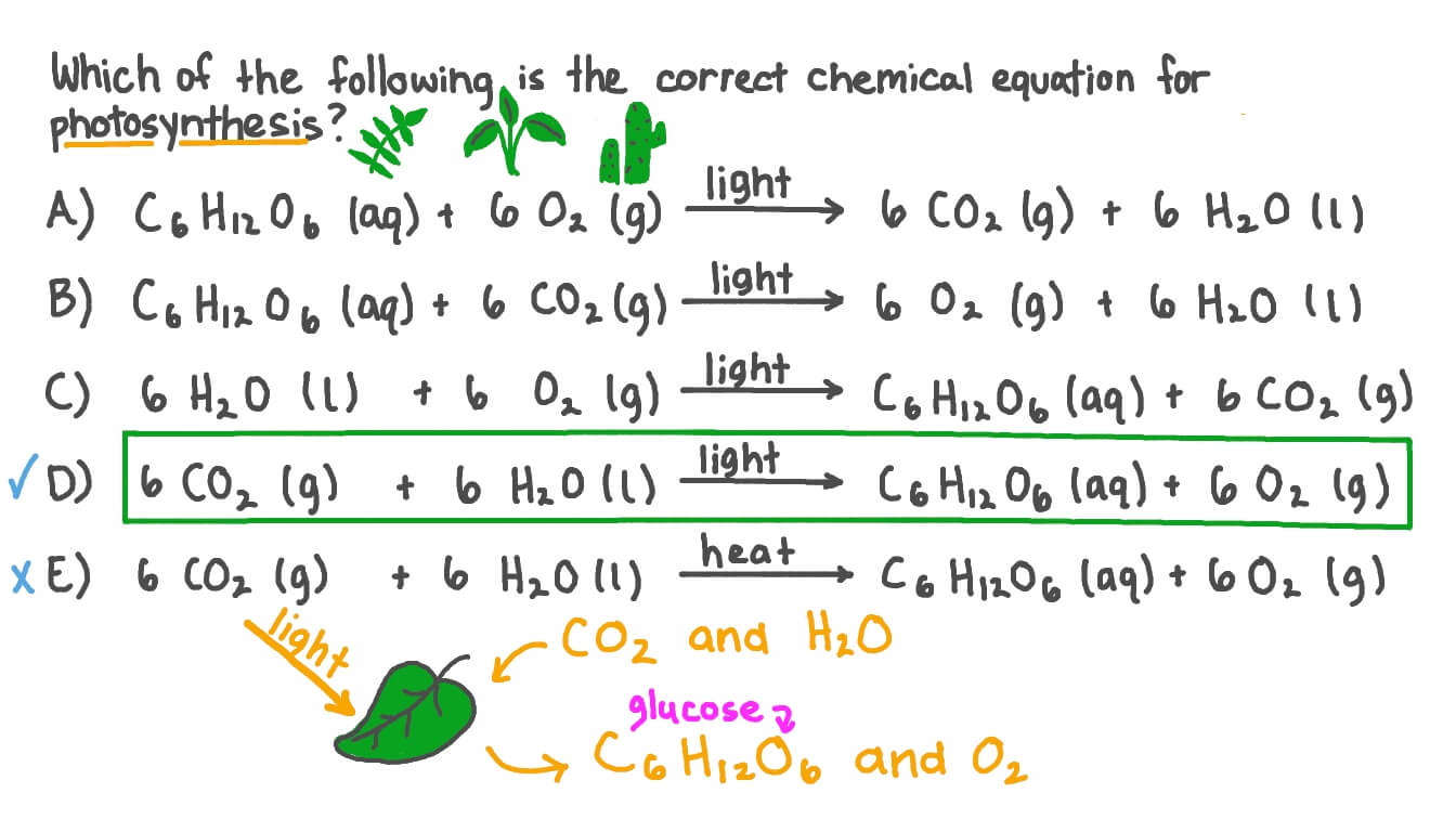 Question Video Identifying The Chemical Equation For Photosynthesis