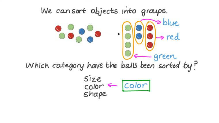 Lesson: Sorting Objects by Size, Color, or Shape | Nagwa