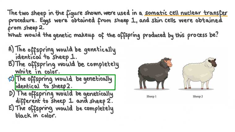 Lesson: Artificial Reproduction | Nagwa