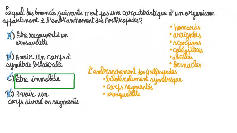 Leçon: Règne animal : les invertébrés | Nagwa