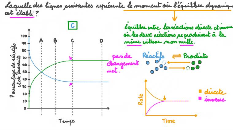Leçon: Équilibre dynamique | Nagwa
