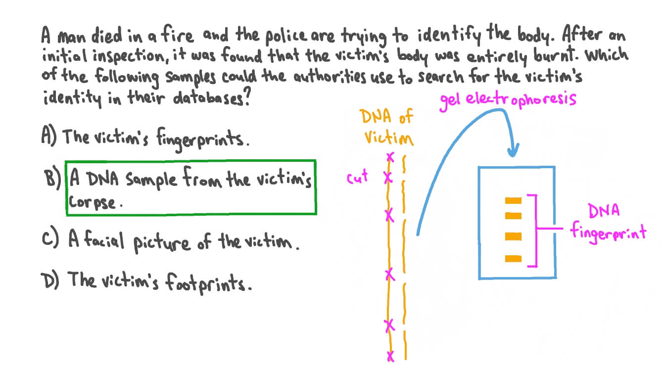 Question Video: Determining What Samples Can Be Used to Identify a ...