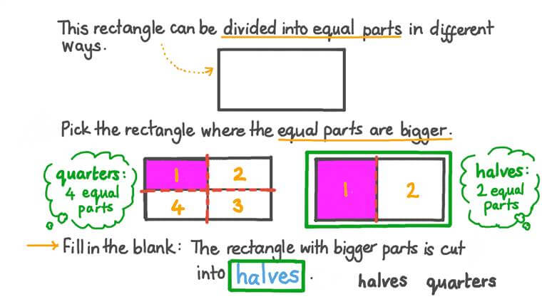 Lesson: Halves and Quarters | Nagwa