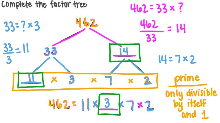 Lesson: Prime Factorization | Nagwa