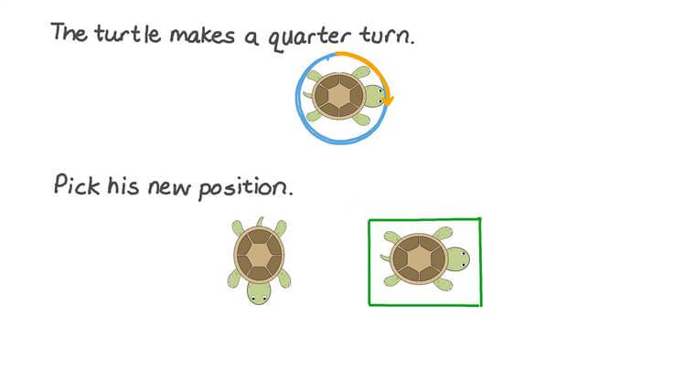 Lesson Playlist | Nagwa