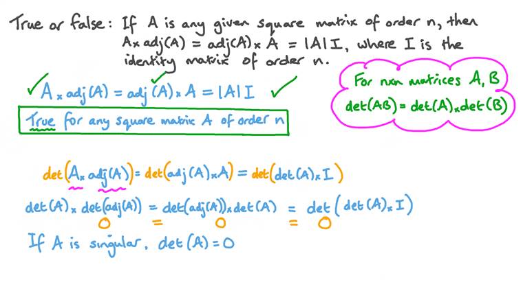 Lesson Playlist | Nagwa