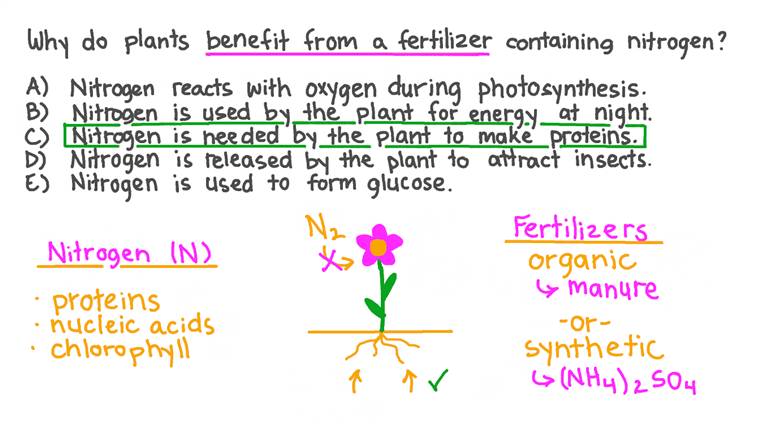 Lesson: Fertilizers | Nagwa