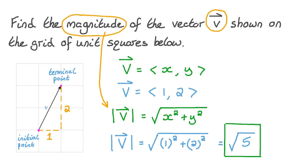 Question Video: The Magnitude of a Vector | Nagwa