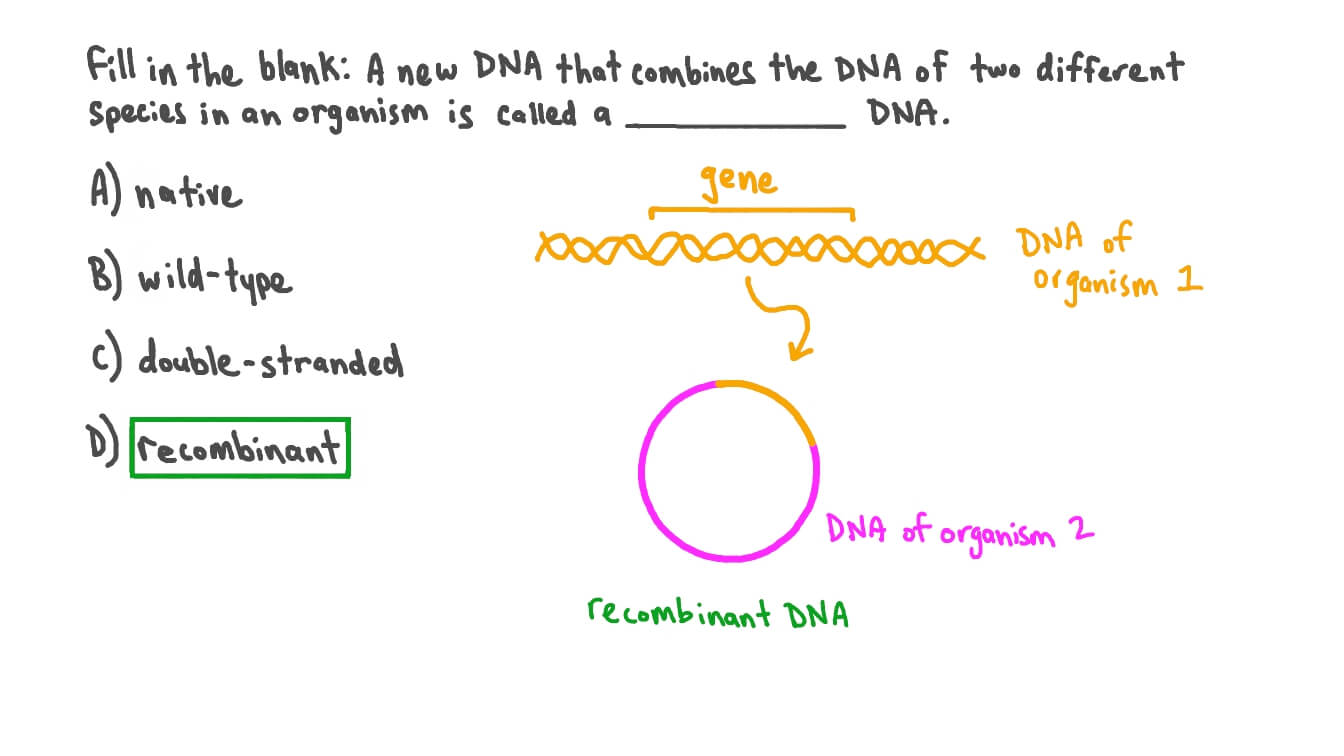 Question Video: Defining the term “Recombinant DNA” | Nagwa