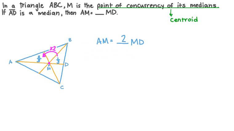 Lesson Playlist | Nagwa