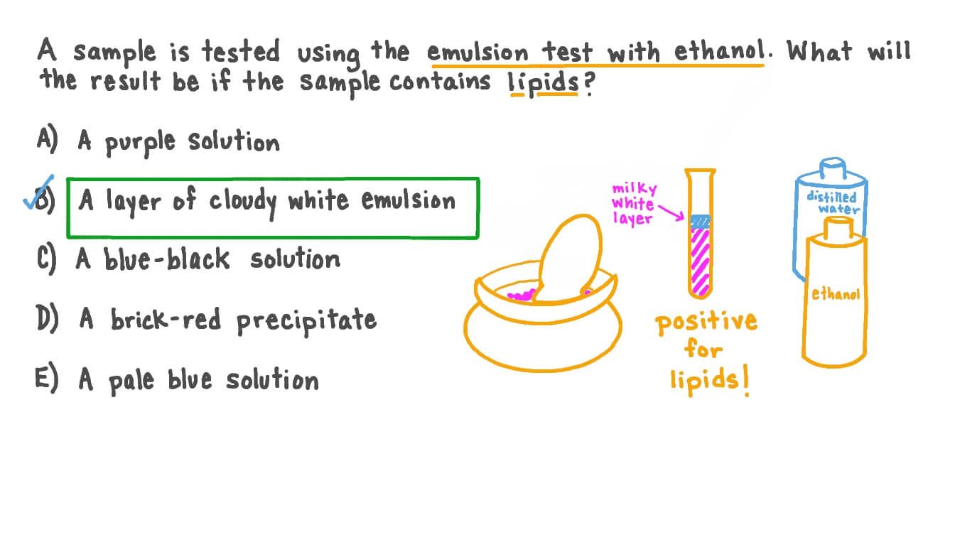 Question Video Recalling The Result Of A Postive Emulsion Test With